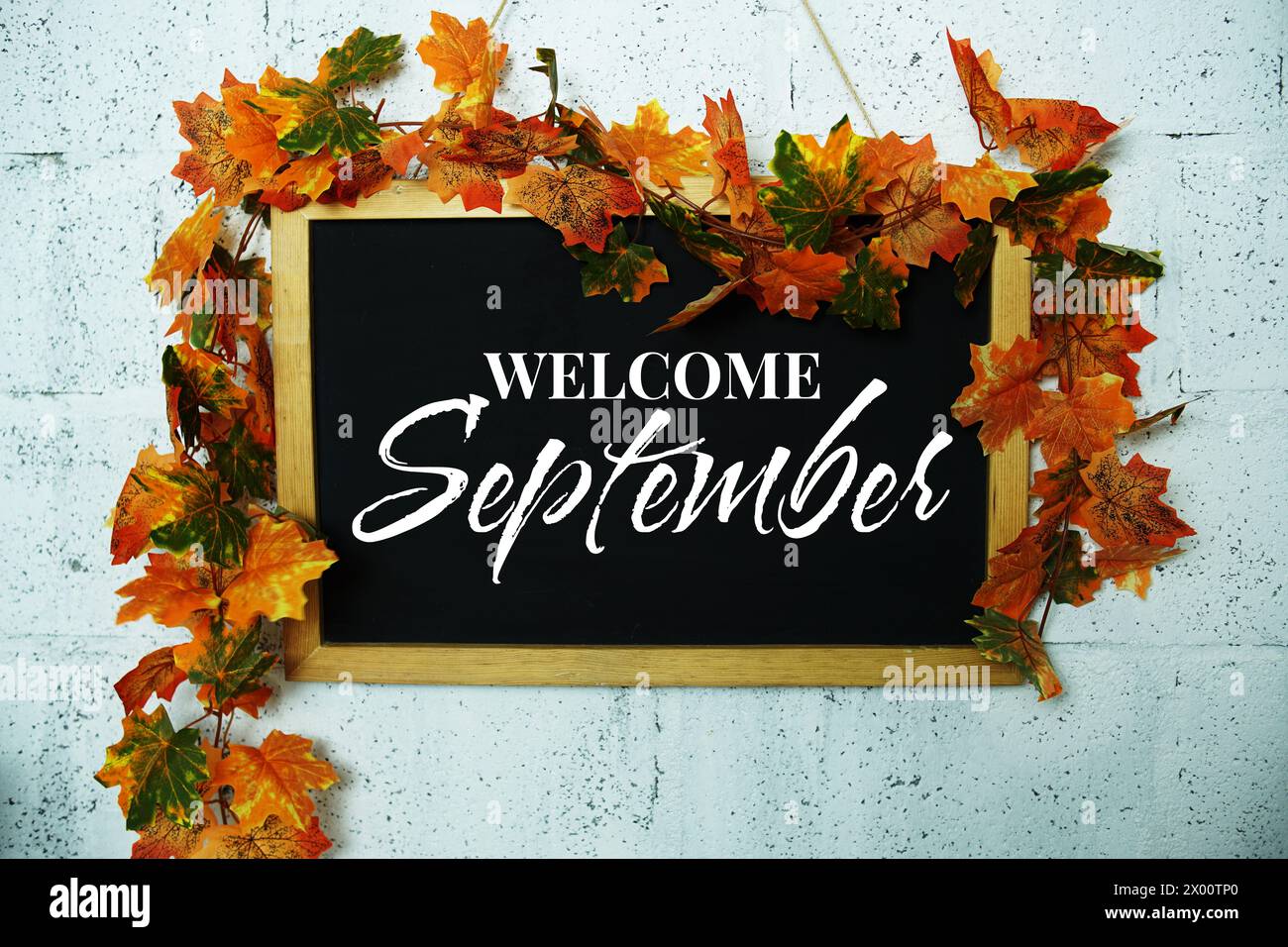 Welcome September text message on Blackboard decoration with maple ...