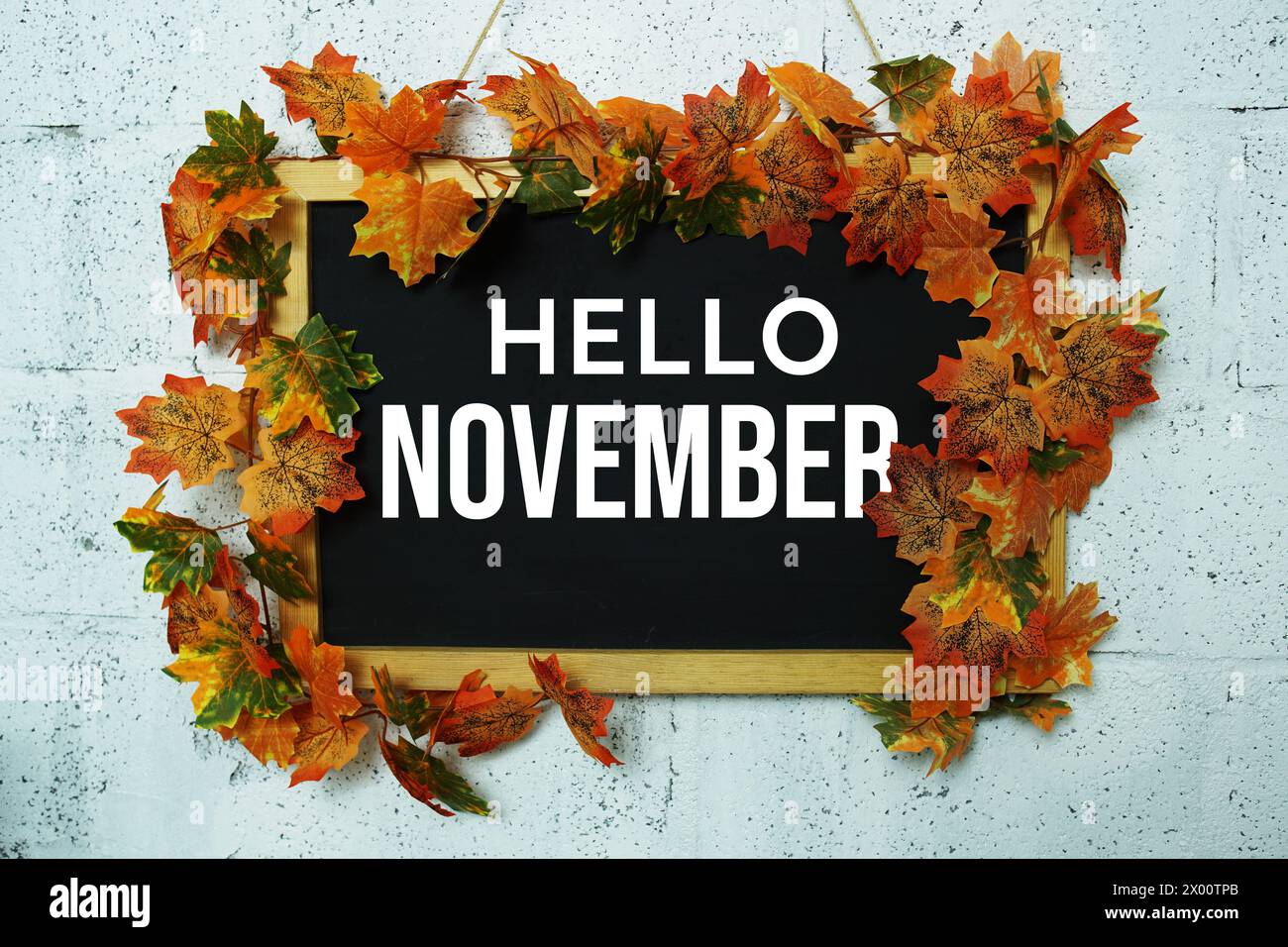 Hello November text message on Blackboard decoration with maple leaves hanging on a concrete ...