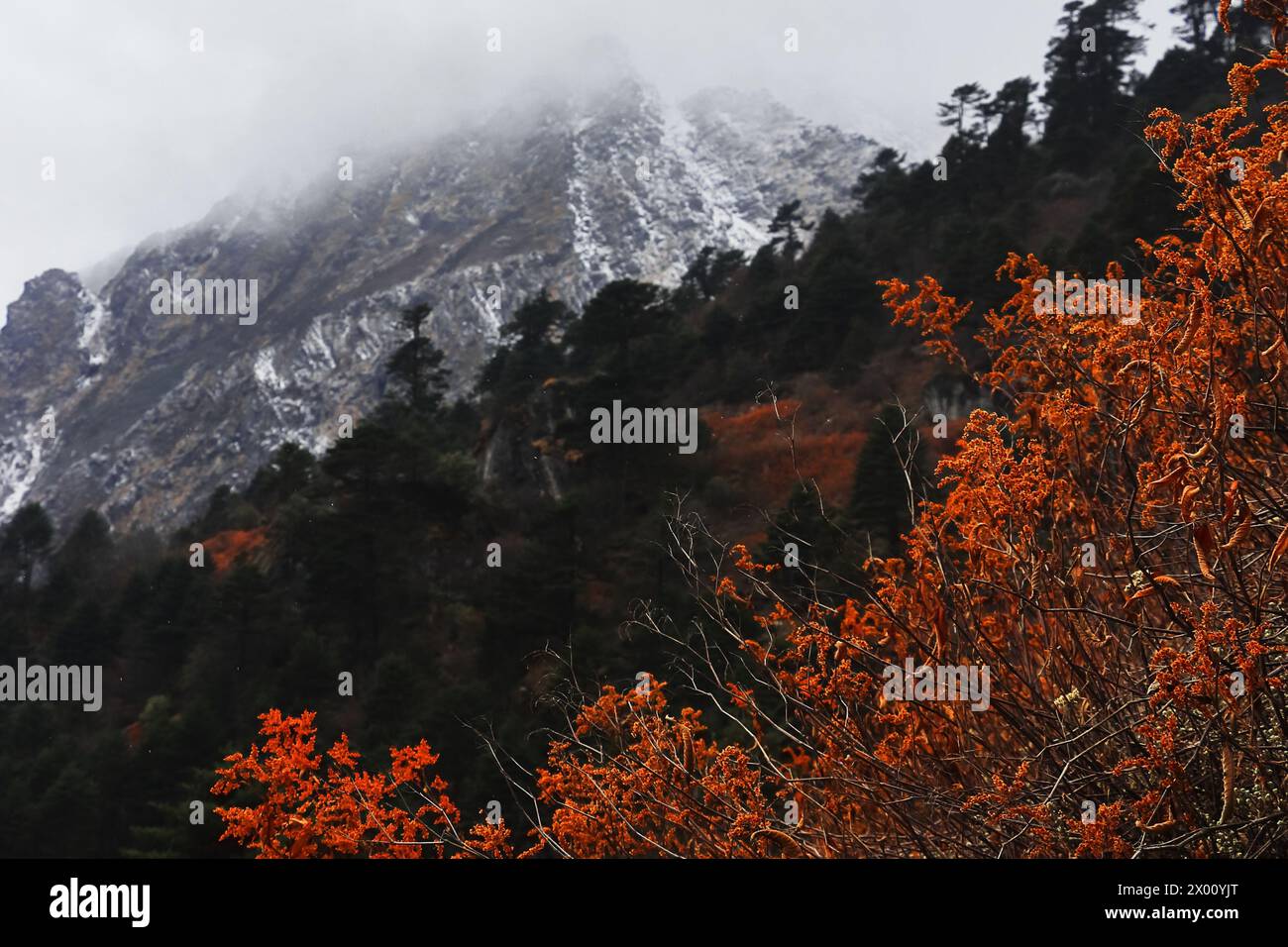 scenic panorama of foggy and cloudy snowcapped himalaya mountain peak ...