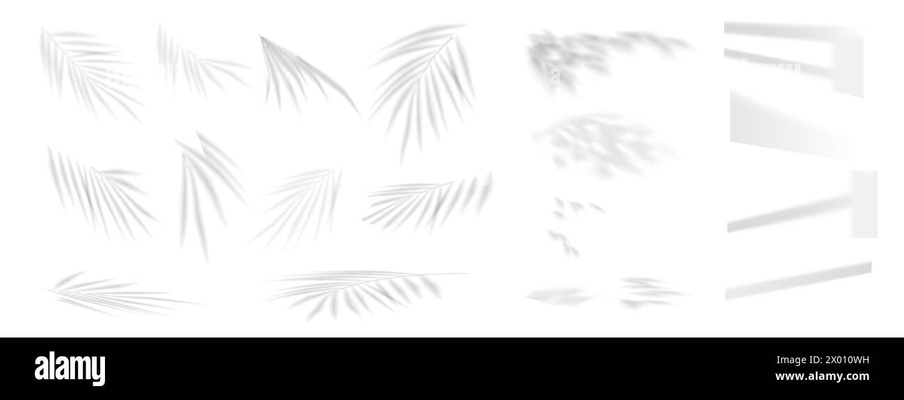 Exotic plants leaves and abstract shapes shades realistic vector ...