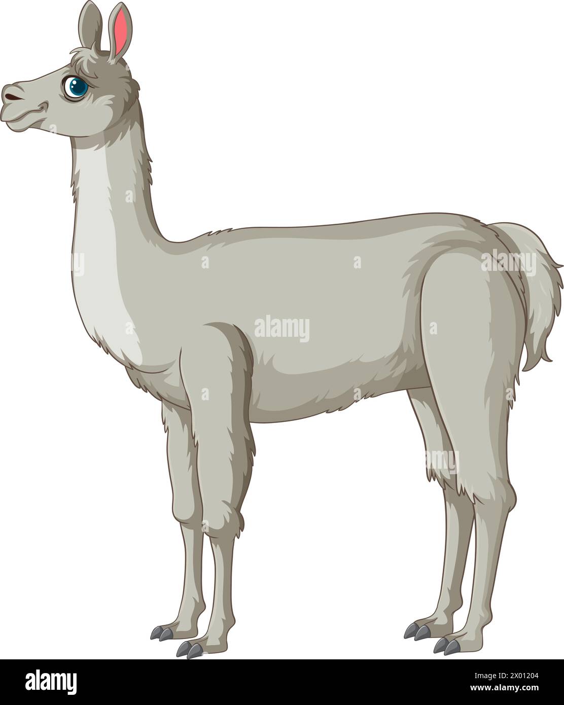 Vector illustration of a single llama in profile Stock Vector Image ...