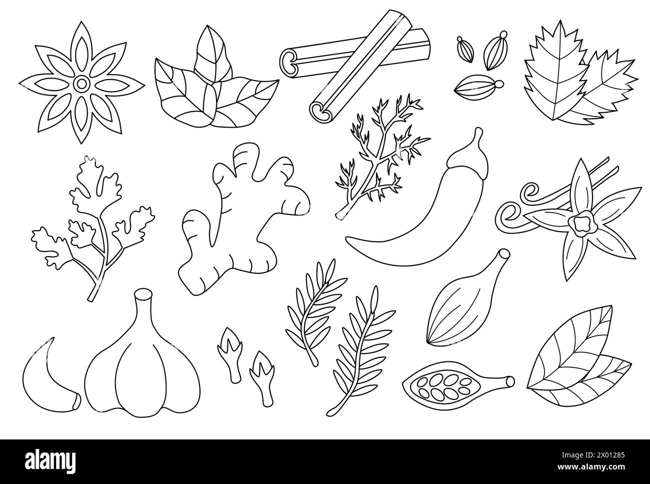 Set spices, condiments and herbs. Doodle Outline Line art collection ...