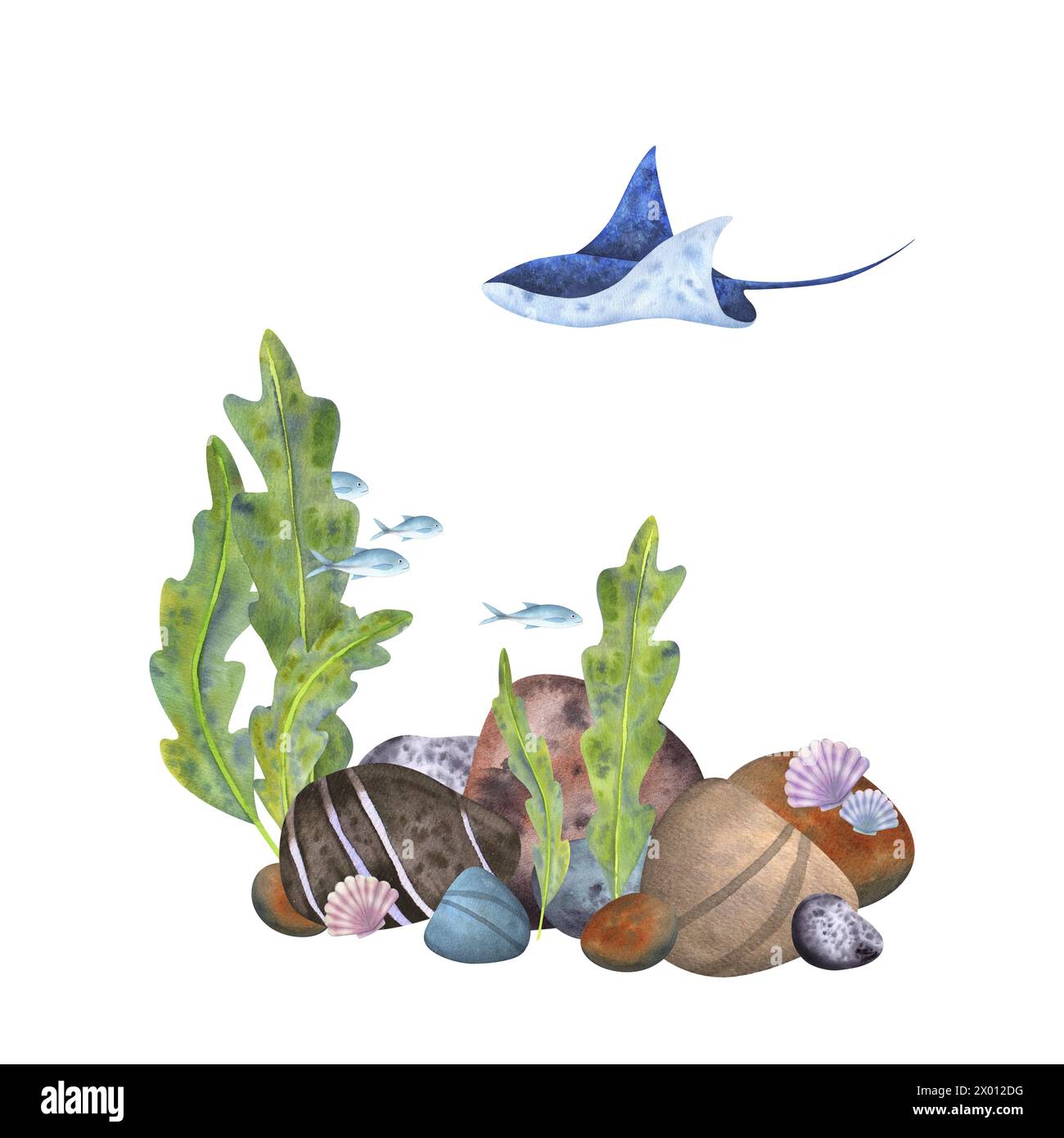 Marine composition, frame, template on a white background. Sea stones ...