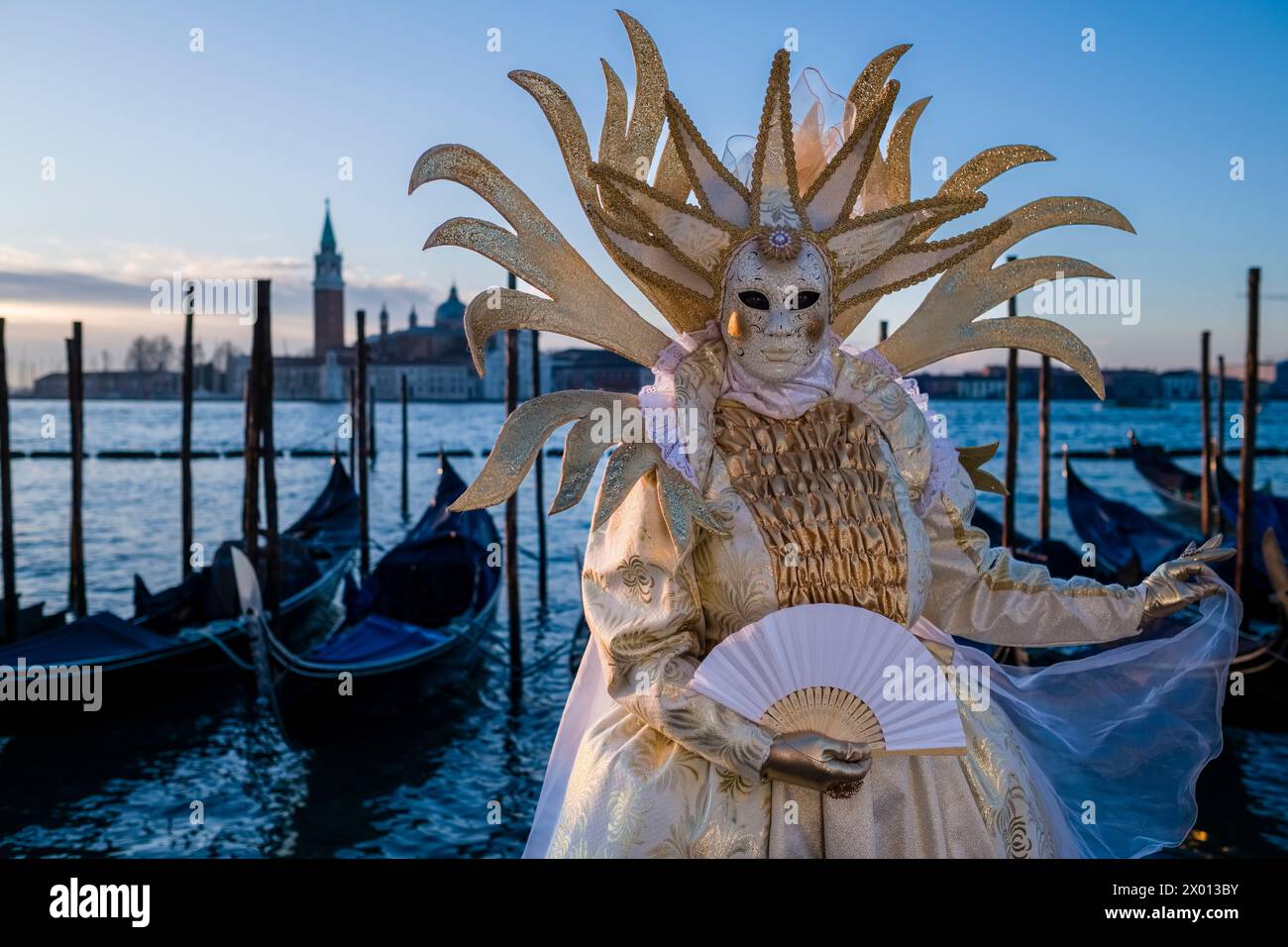 Portrait of a feminin masked person in a creative costume, posing at ...