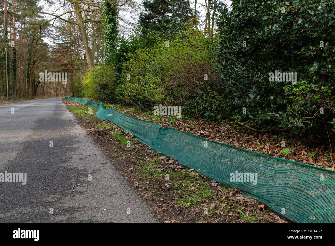 Green mesh along the forest road blocking the exit of small animals ...