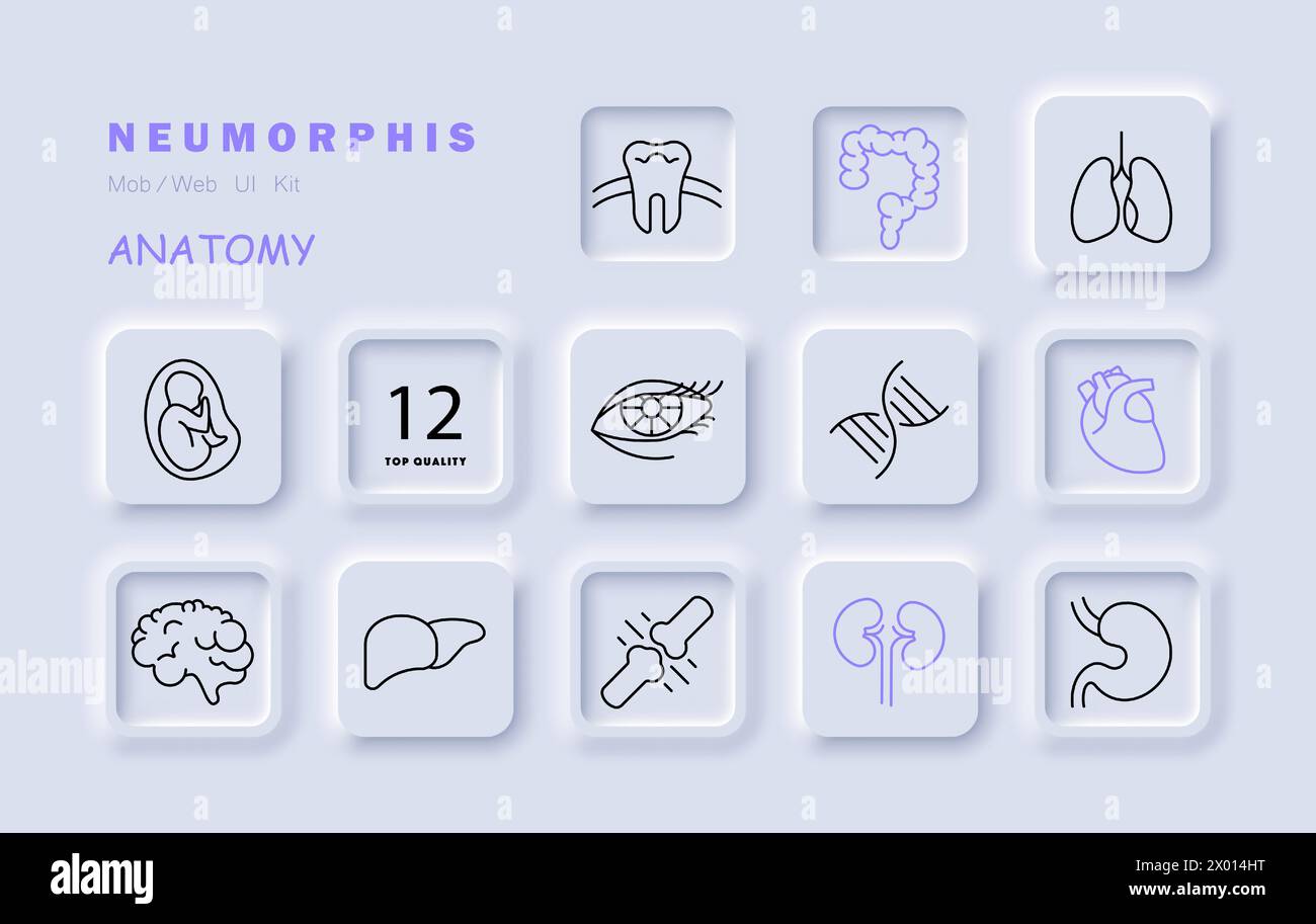 Organs set icon Intestinal tract, stomach, liver, brain, lungs, embryo ...