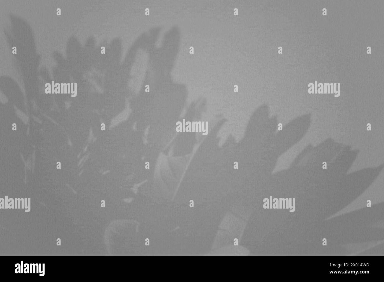 Natural light casts shadows from a leaves branches of tropical plants ...