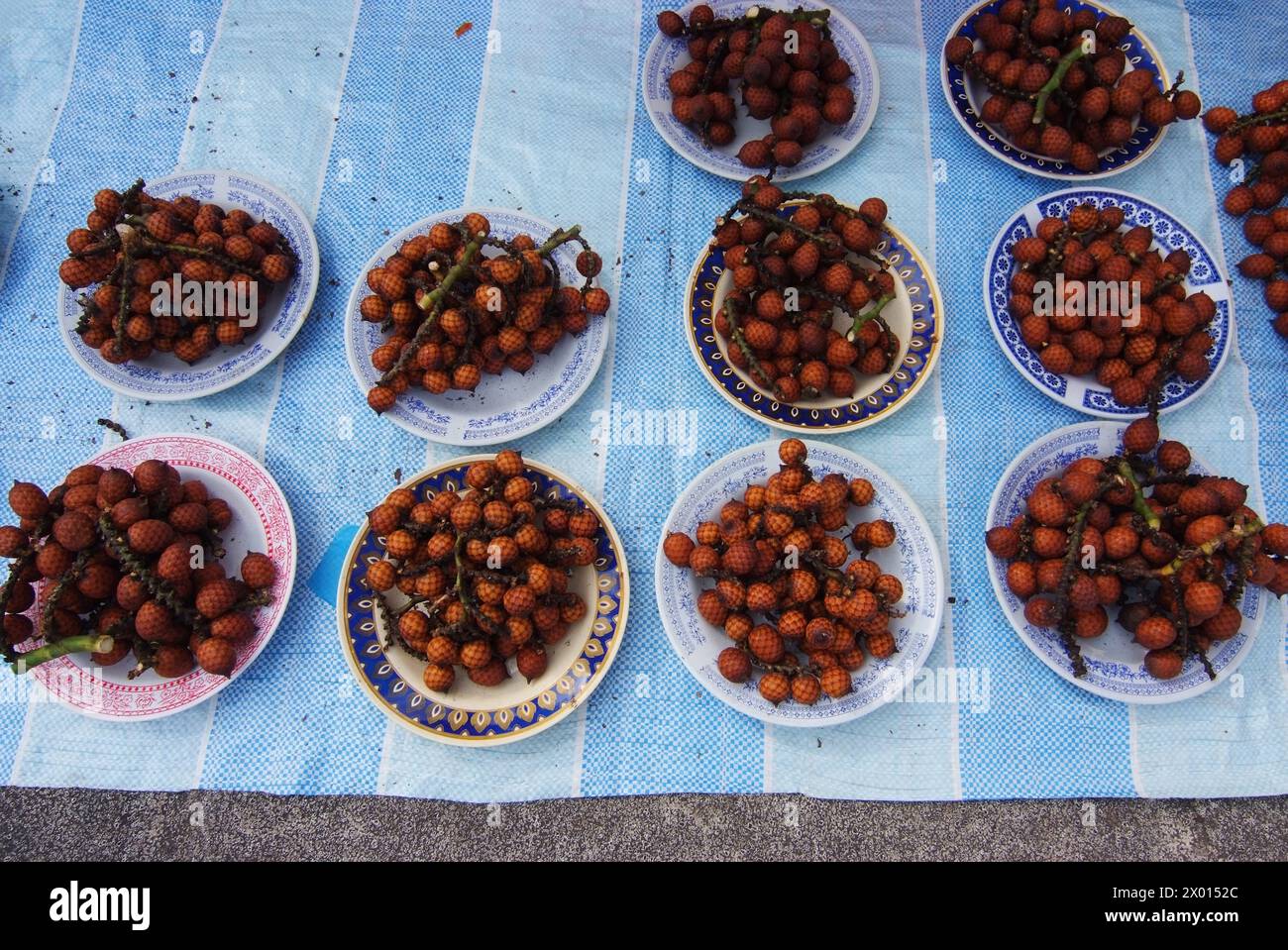 Rattan palm hi-res stock photography and images - Alamy