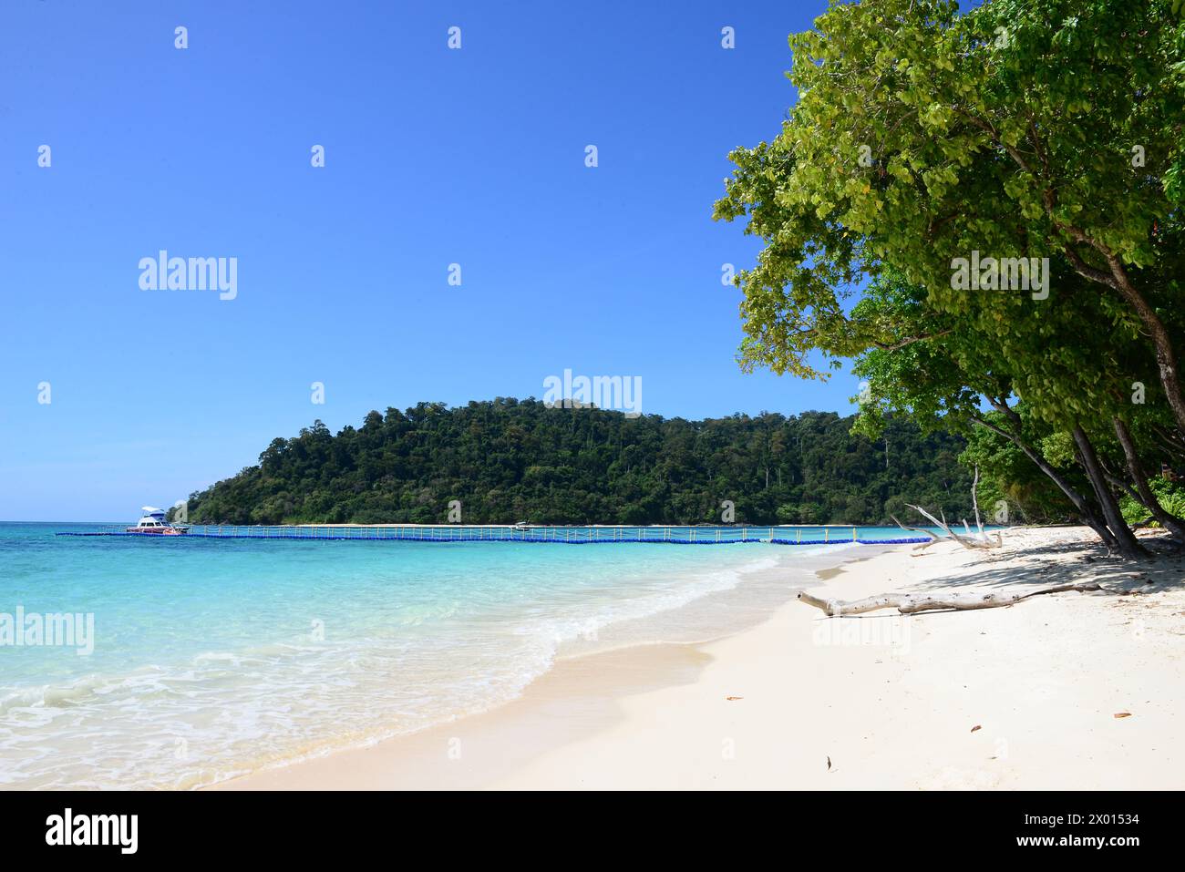 Koh Rok (Rok Island) is a small archipelago in southern Thailand in the ...