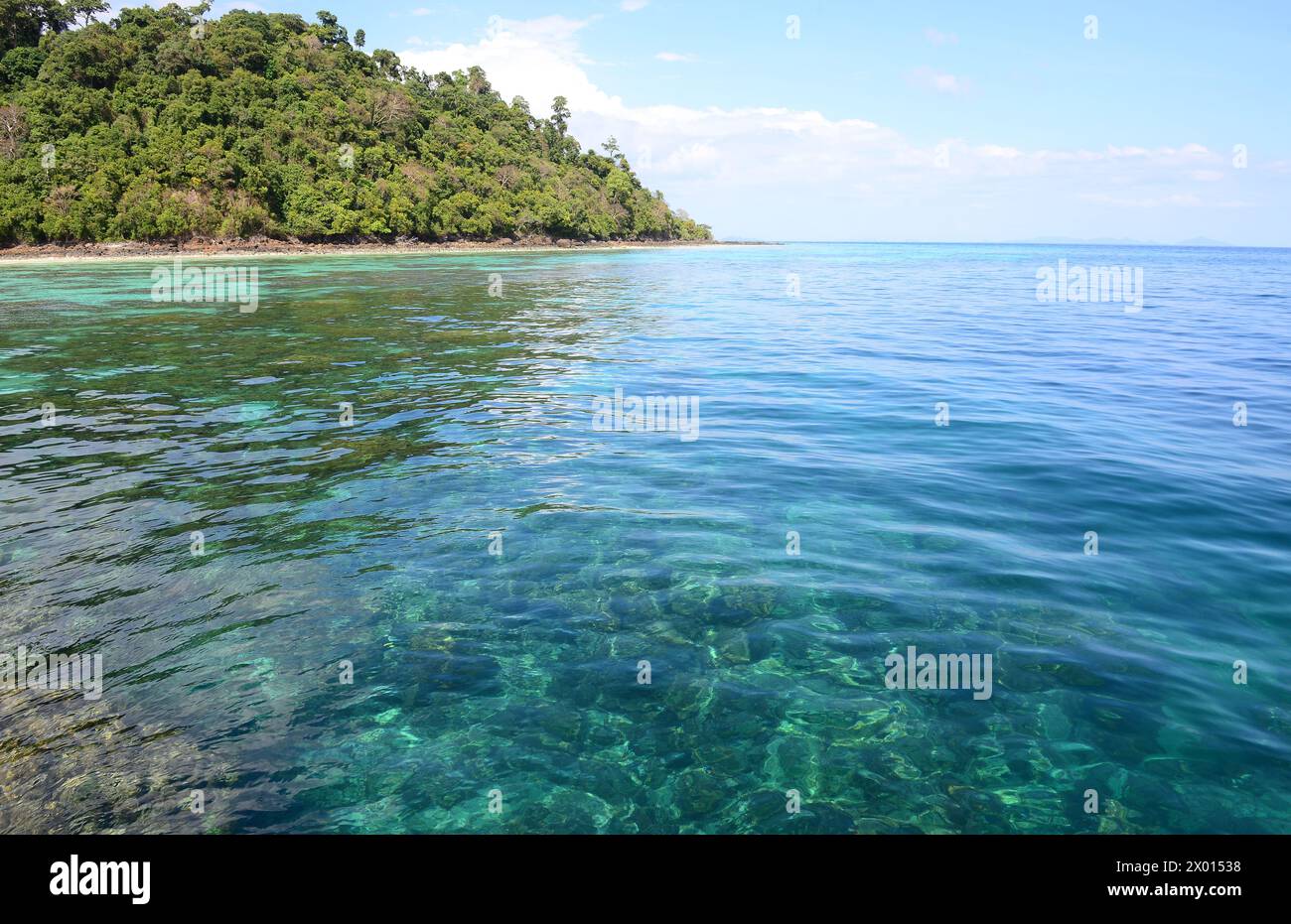 Koh Rok (Rok Island) is a small archipelago in southern Thailand in the ...