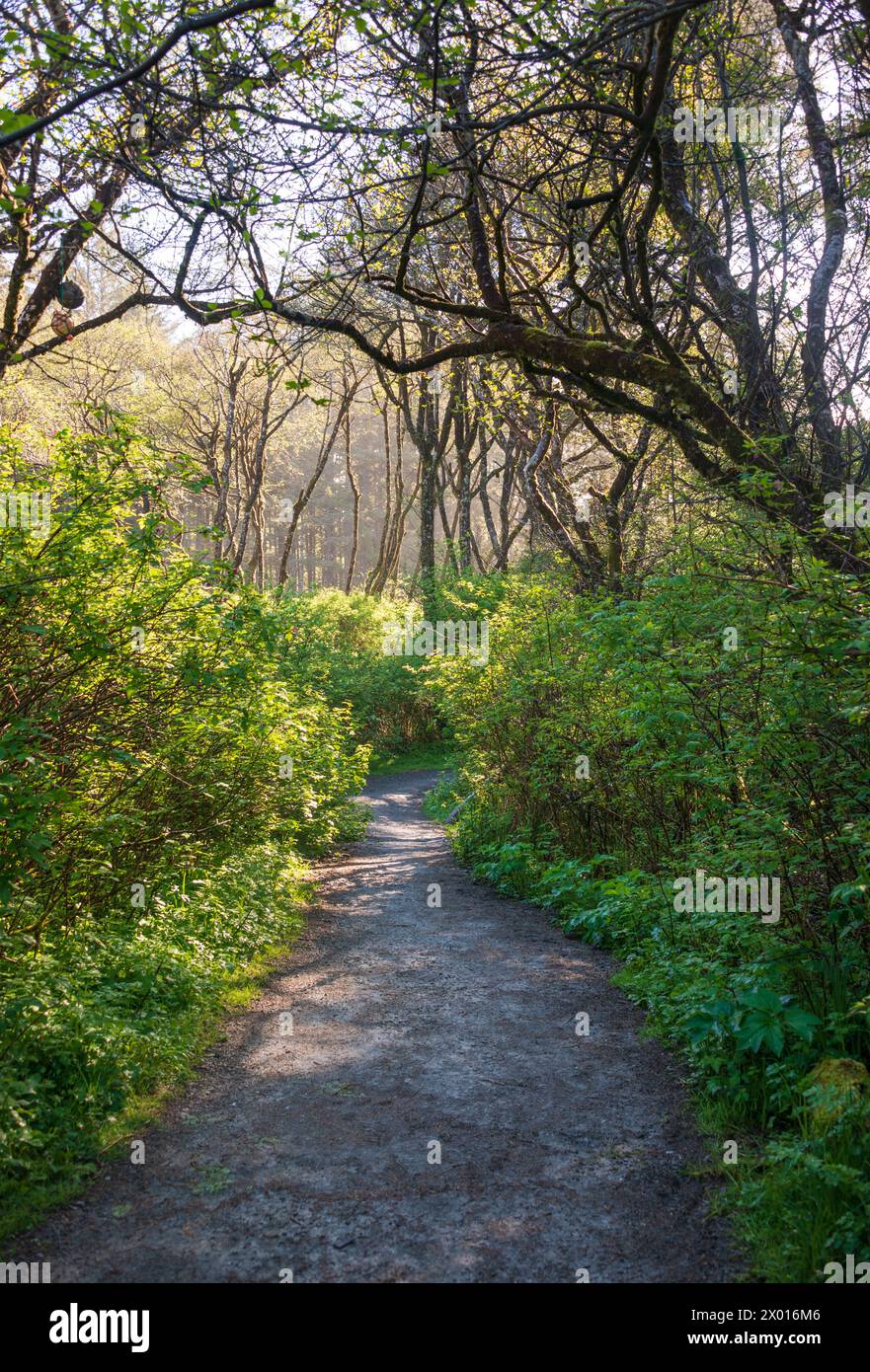 The Ruby Beach Trail in Olympic National Park at Olympic National Park ...