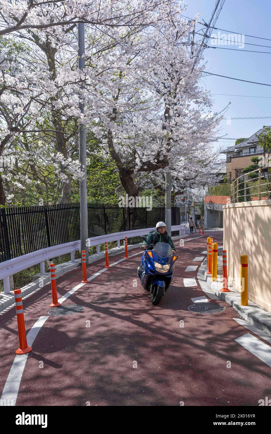 Tokyo, Japan. 07th Apr, 2024. Moped driver goes up a hill underneath ...