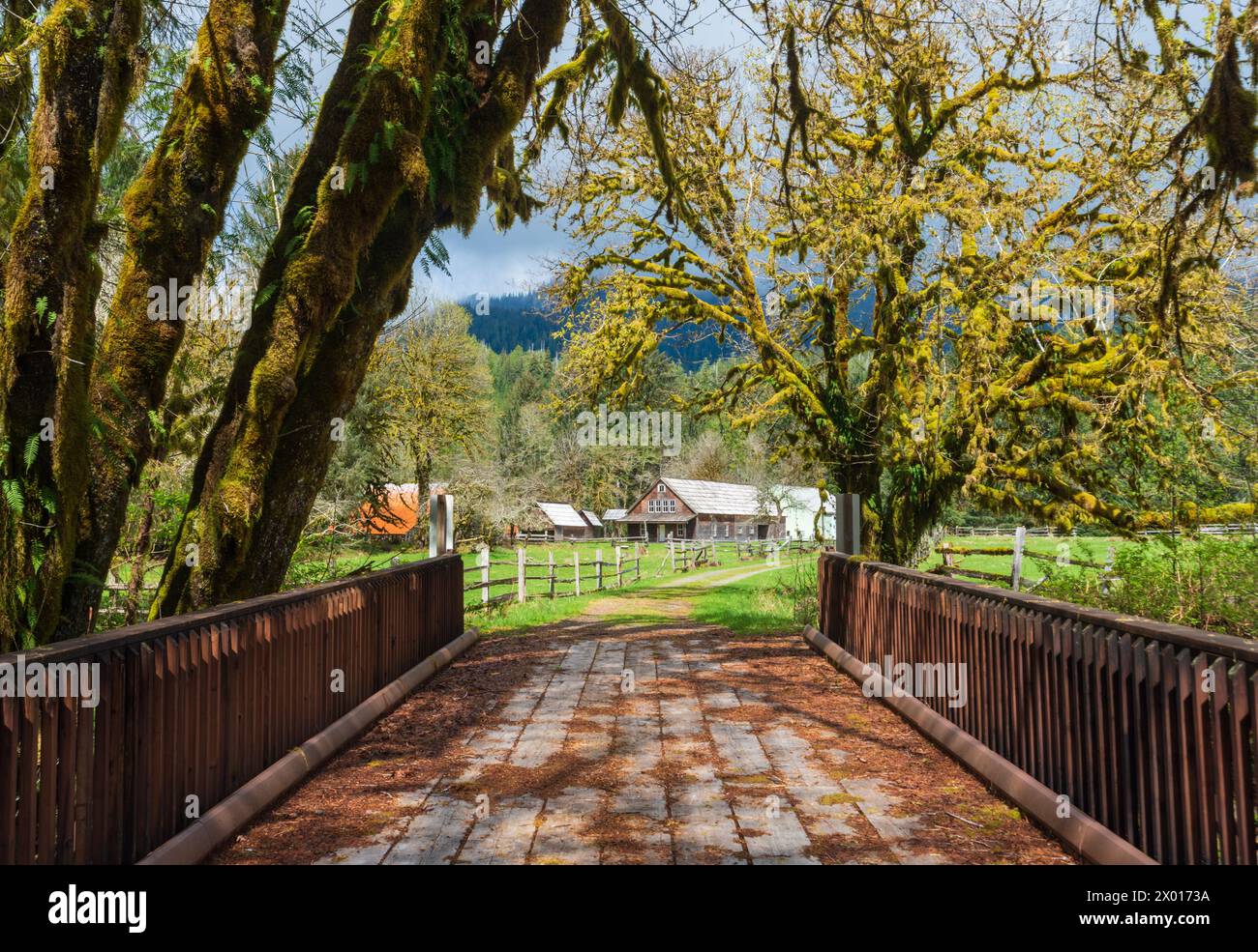 The Historic Kestner Homestead farm in the Quinault Rain Forest area of ...