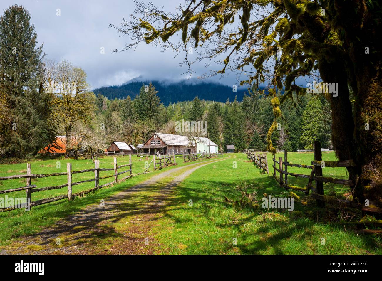 The Historic Kestner Homestead farm in the Quinault Rain Forest area of ...