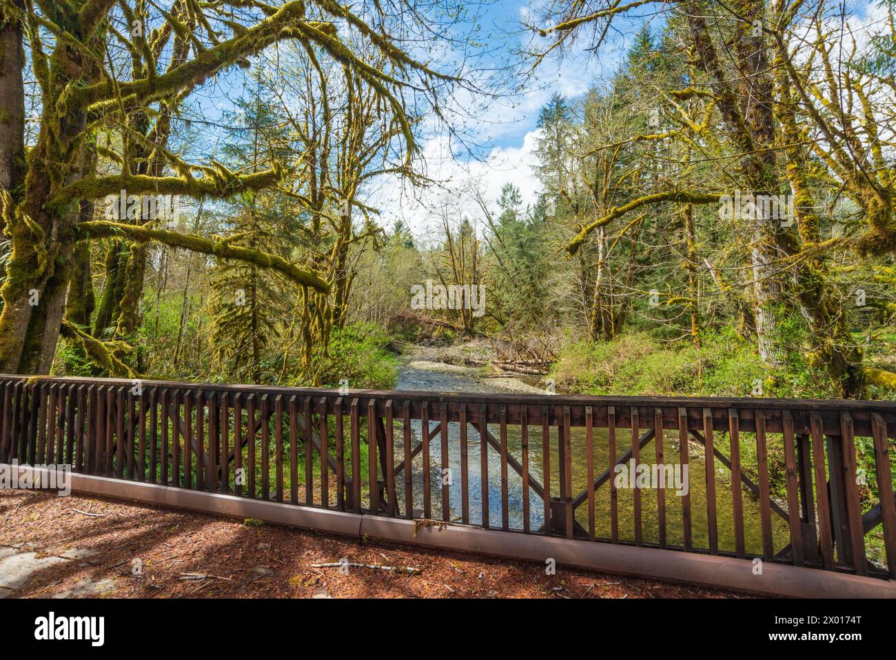 The Historic Kestner Homestead farm in the Quinault Rain Forest area of ...