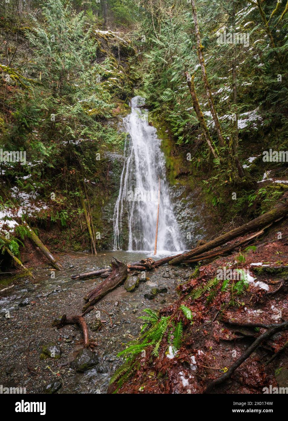 Winter at Madison Falls at Olympic National Park, Washington State, USA ...