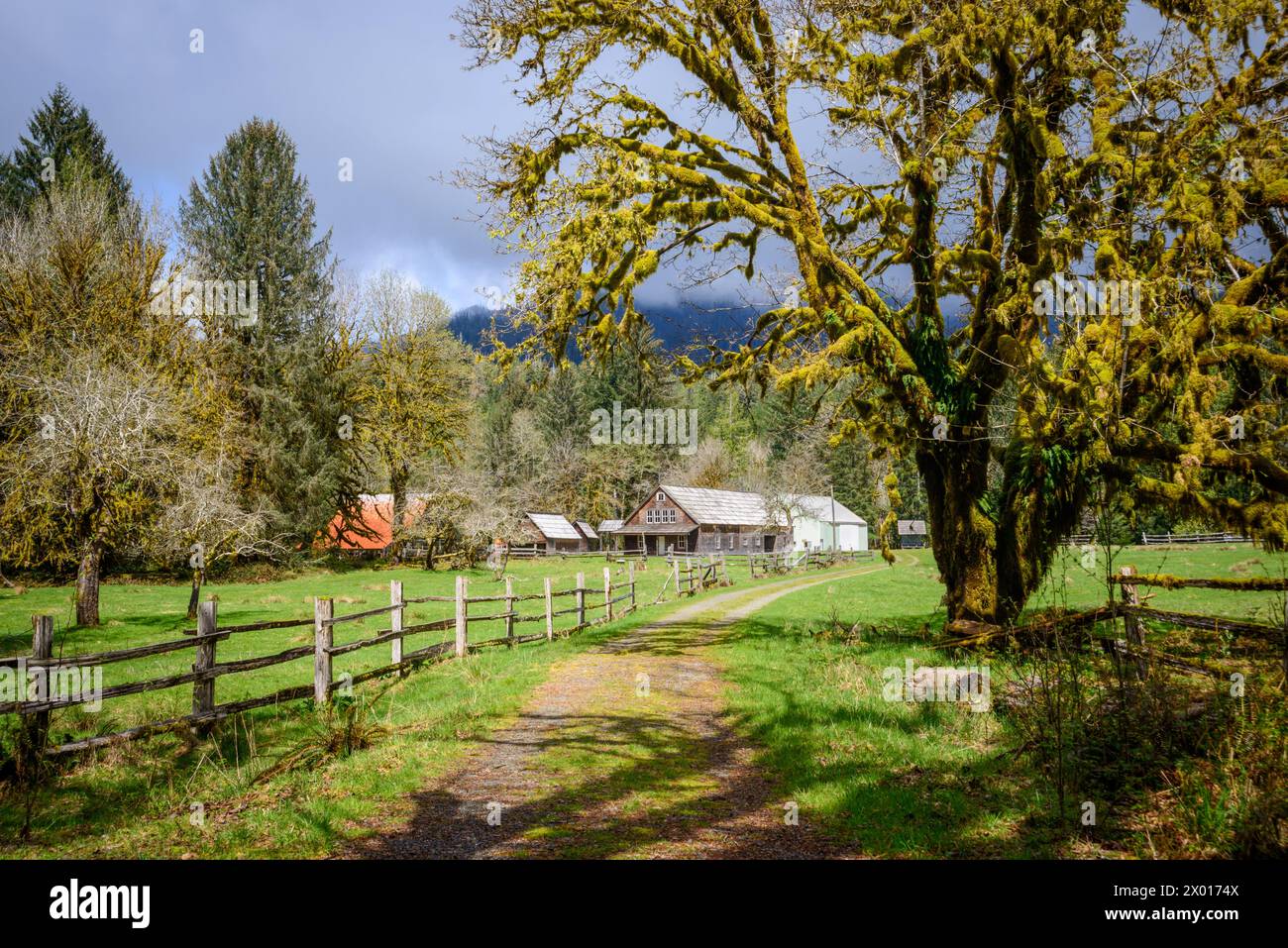The Historic Kestner Homestead farm in the Quinault Rain Forest area of ...
