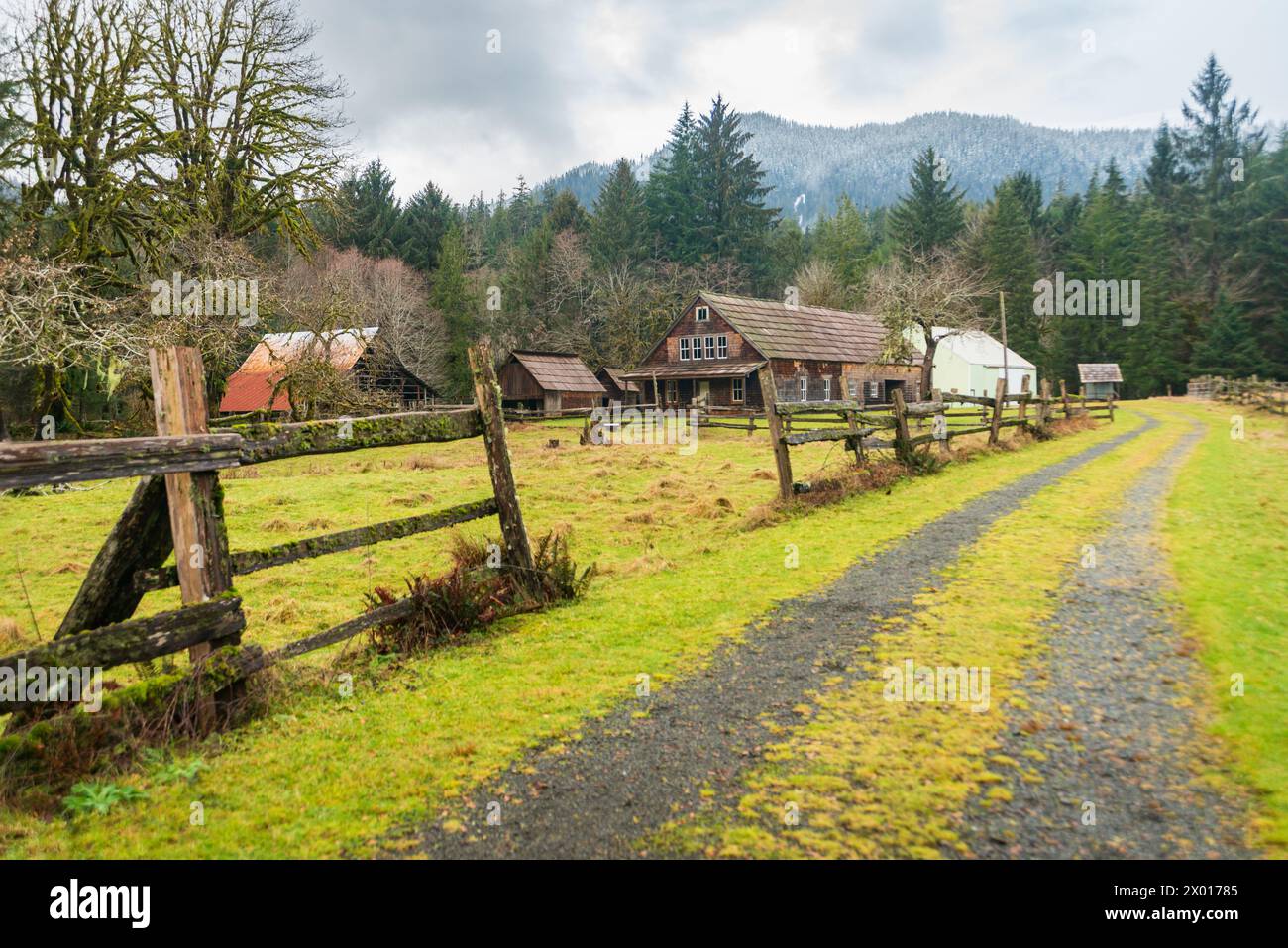 The Historic Kestner Homestead farm in the Quinault Rain Forest area of ...