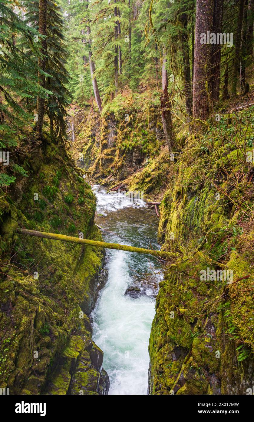 The Waterfall of Sol Duc Falls trail in Olympic National Park ...
