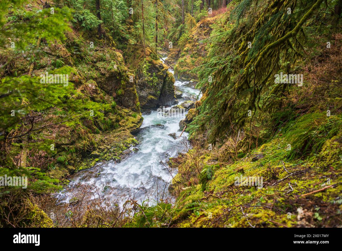 The Waterfall of Sol Duc Falls trail in Olympic National Park ...