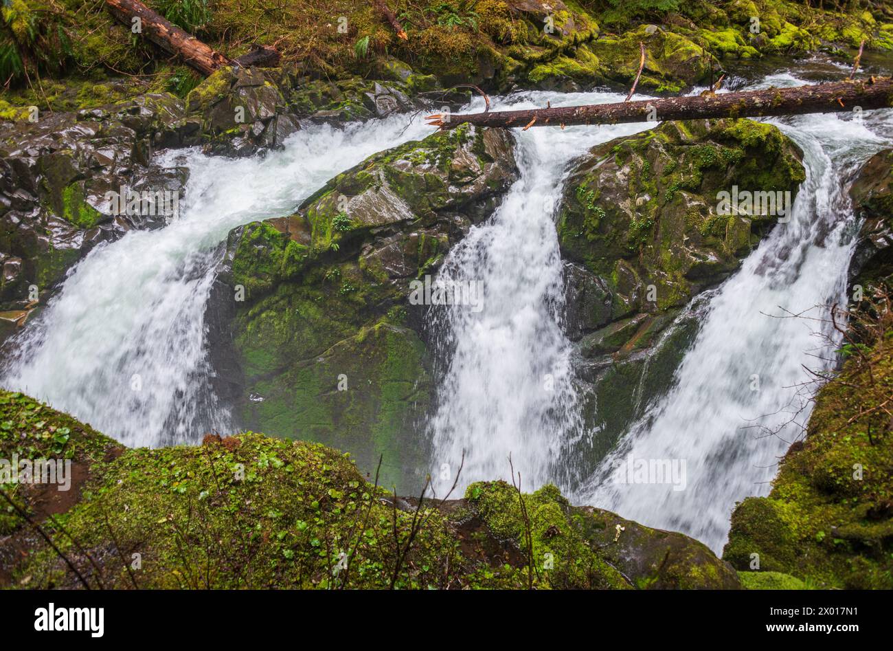 The Waterfall of Sol Duc Falls trail in Olympic National Park ...