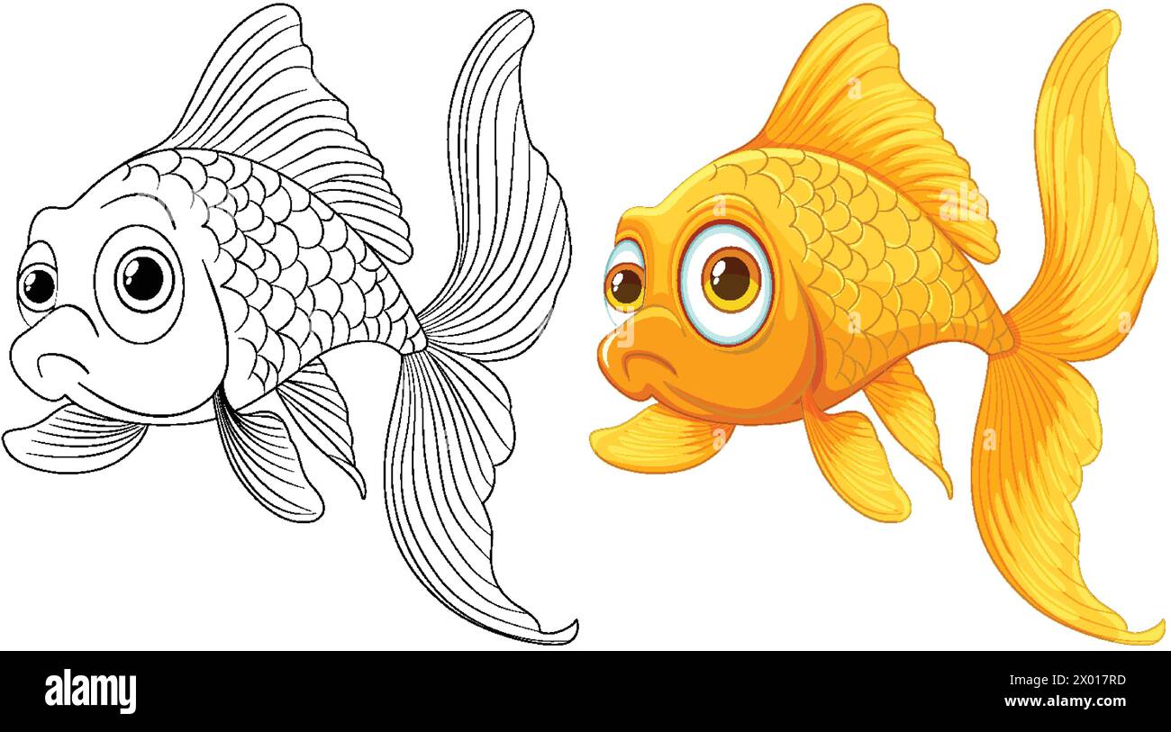 Comparison of a goldfish sketch and a colored illustration Stock Vector ...