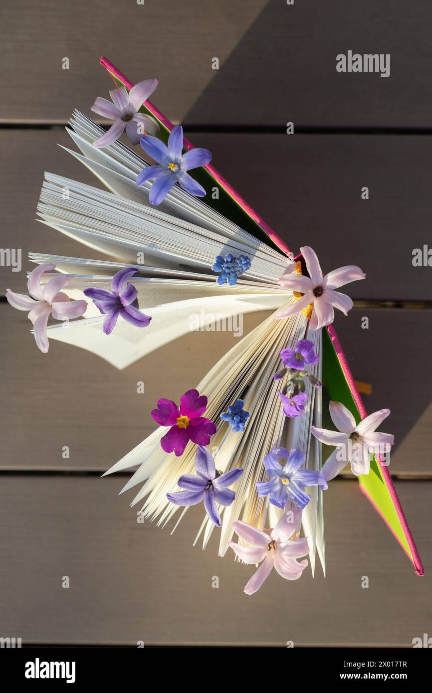 an open book and small spring flowers between the pages. Read the book ...