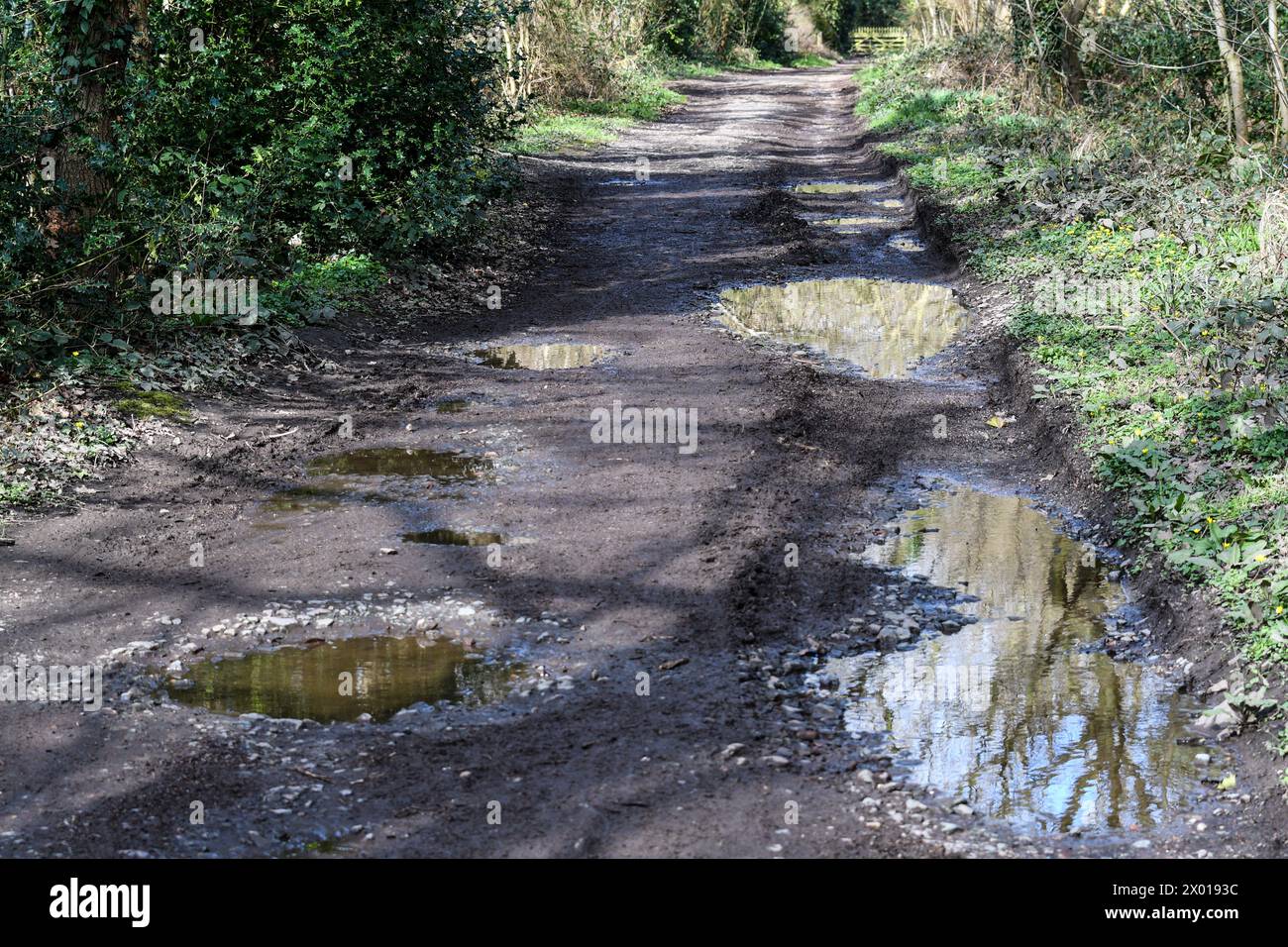 large puddles after heavy rain Stock Photo - Alamy