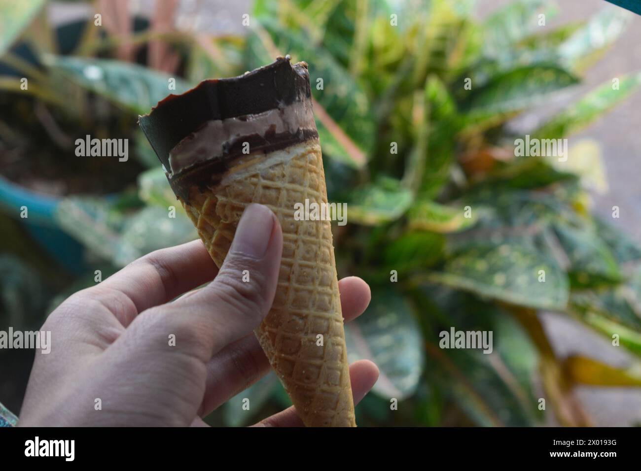 Photo of chocolate flavored corn ice cream with peanut topping that ...