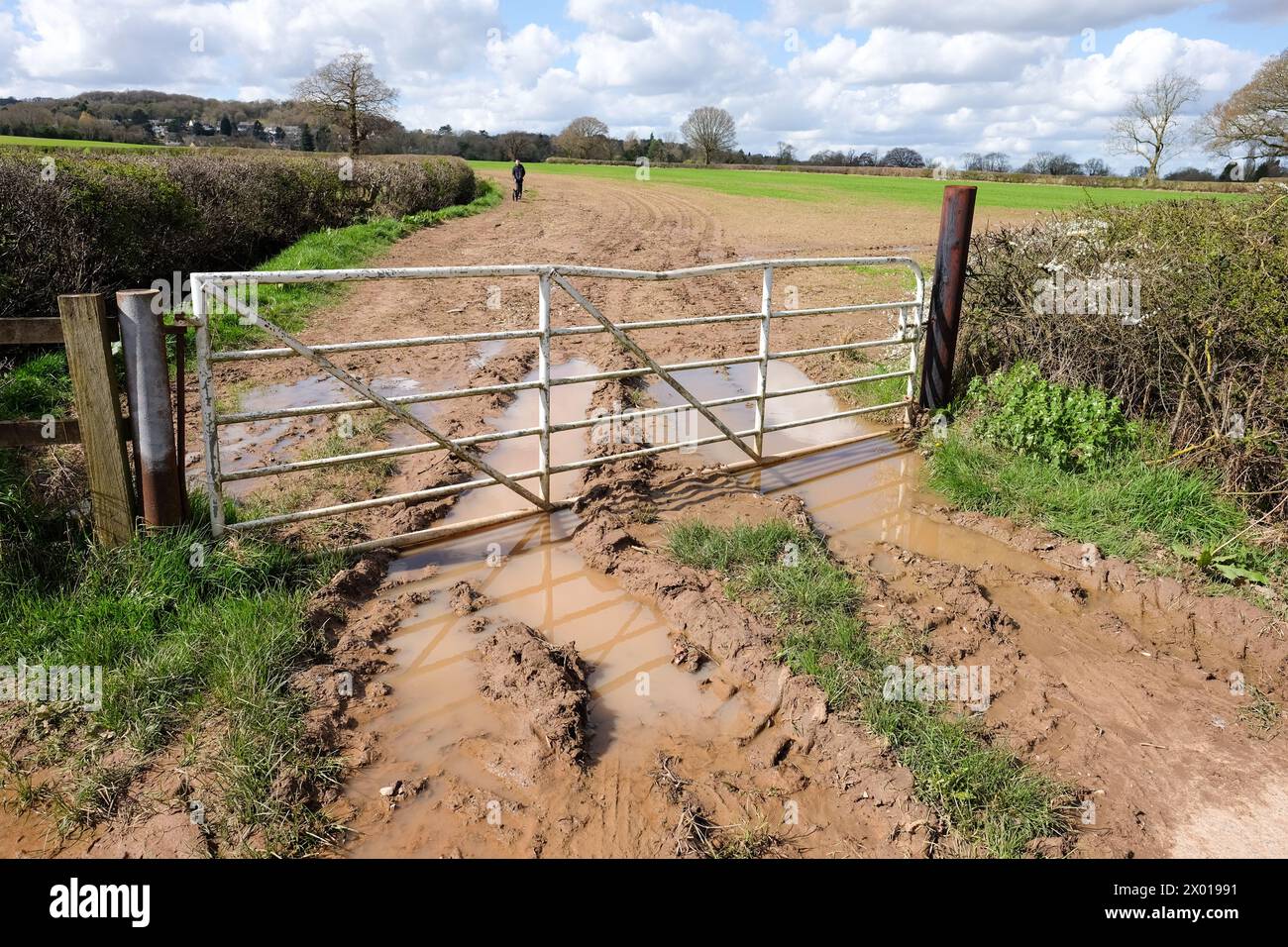 waterlogged farmers fields april 2024 Stock Photo - Alamy