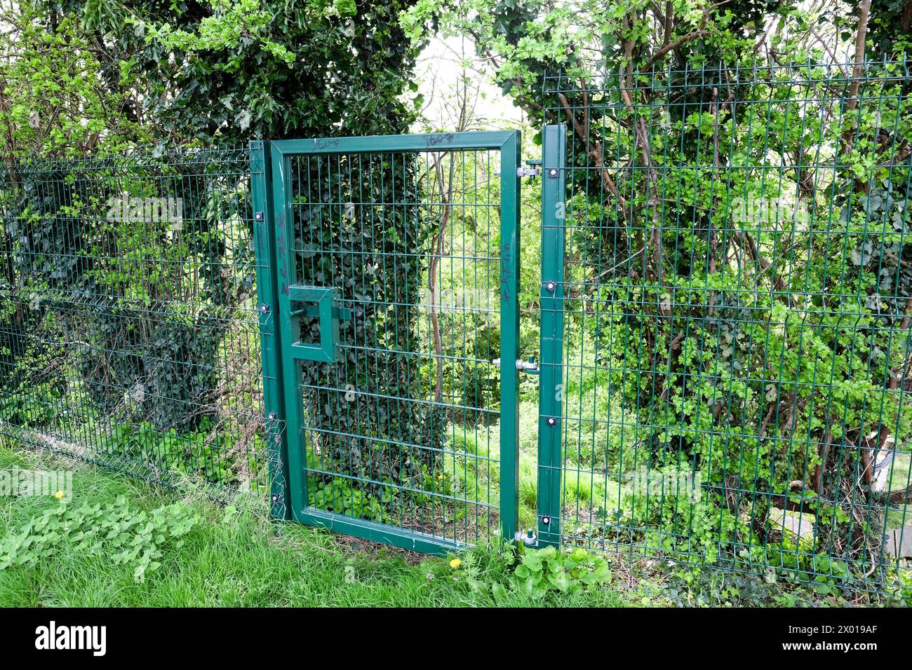 locked gate next to a road Stock Photo - Alamy
