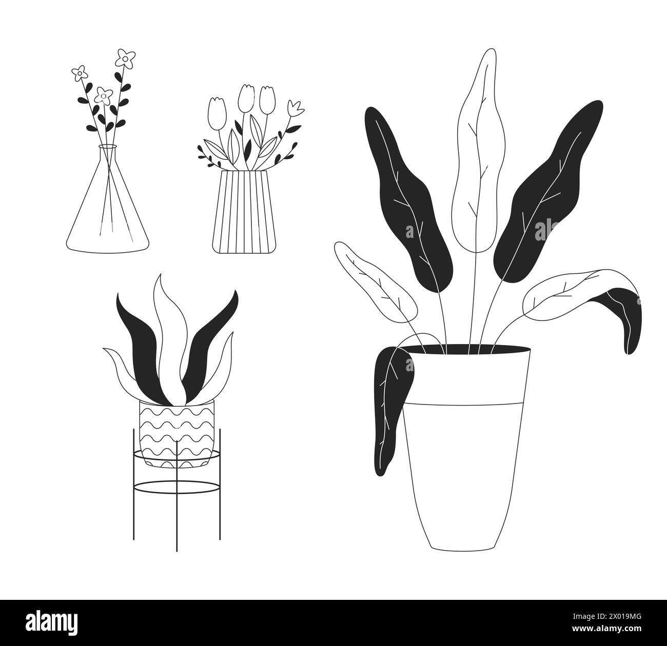 Potted Houseplants And Flower Bouquets Black And White 2d Line Cartoon Objects Set Stock Vector