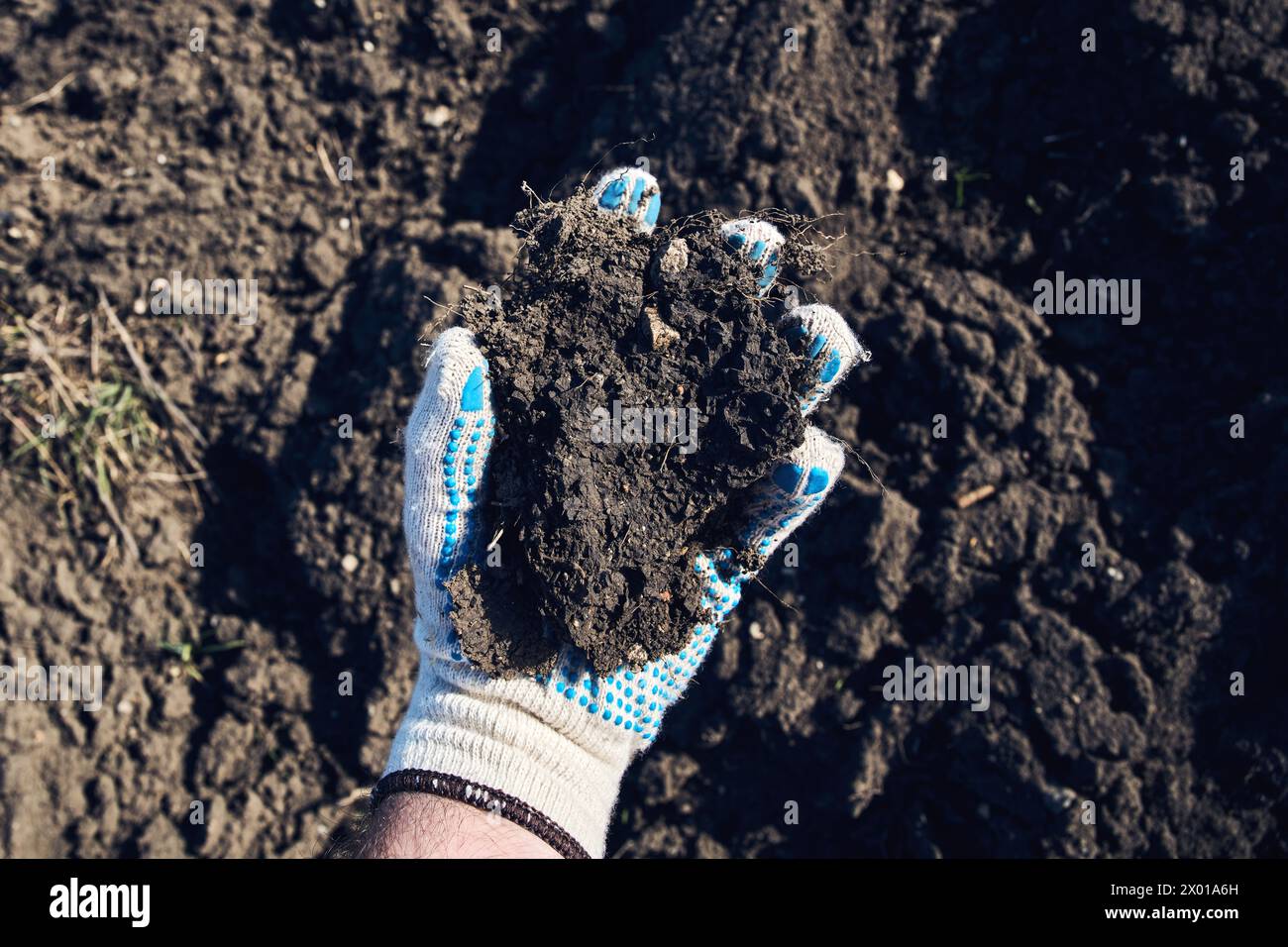 Soil sample hi-res stock photography and images - Alamy
