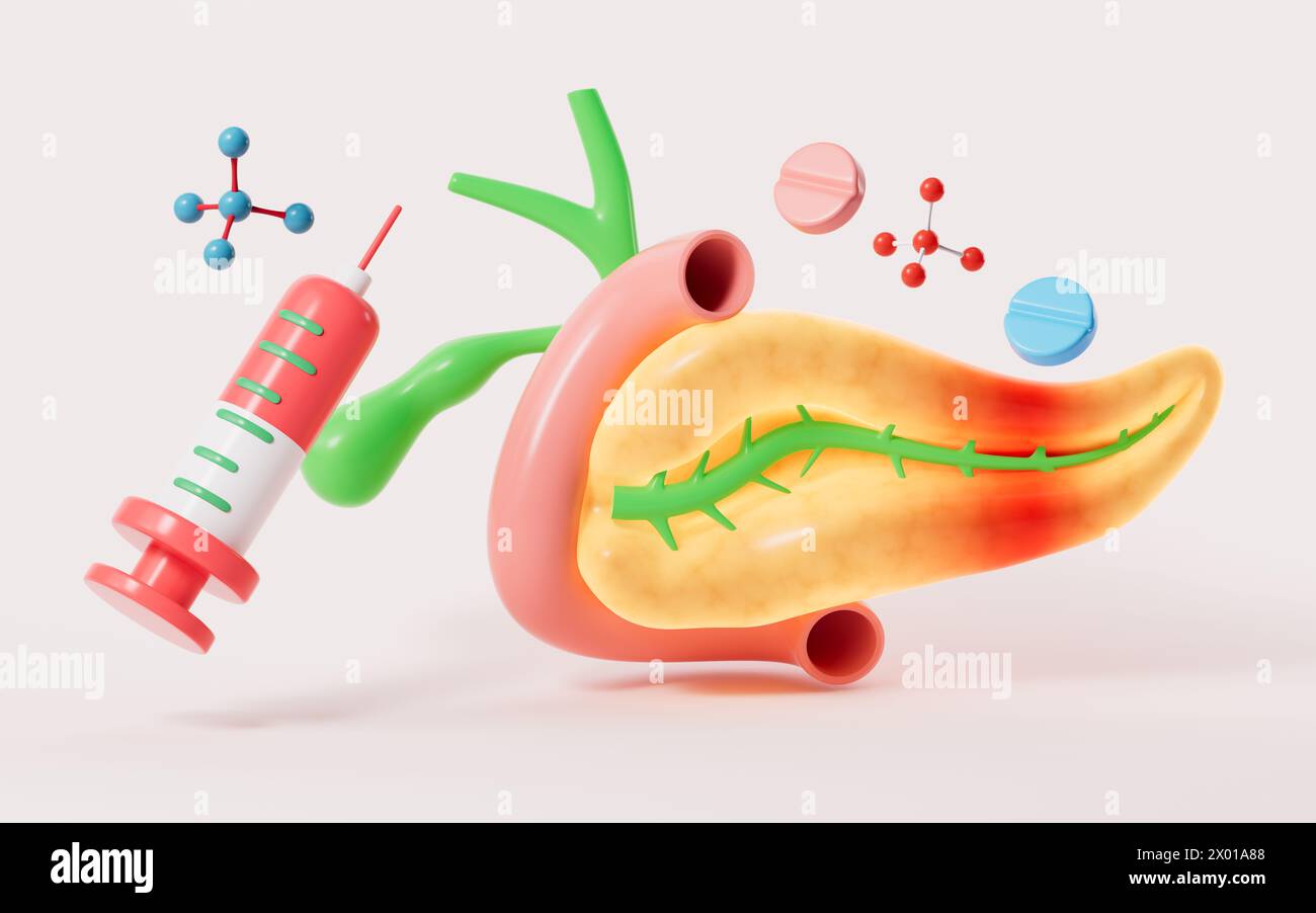 Human pancreas, gall bladder organ model, pancreatitis and drug therapy ...