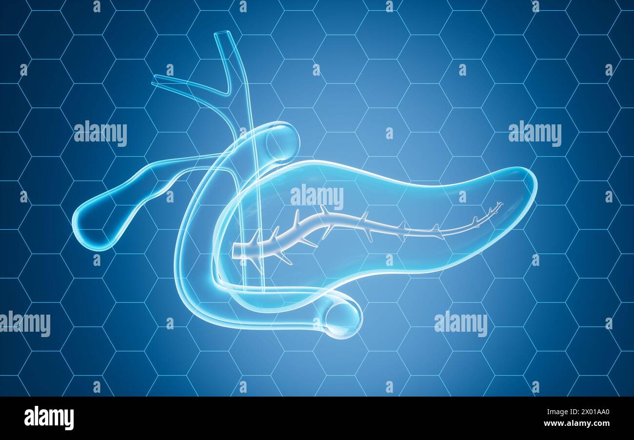 Human pancreas, gall bladder organ model, 3d rendering. 3d illustration ...