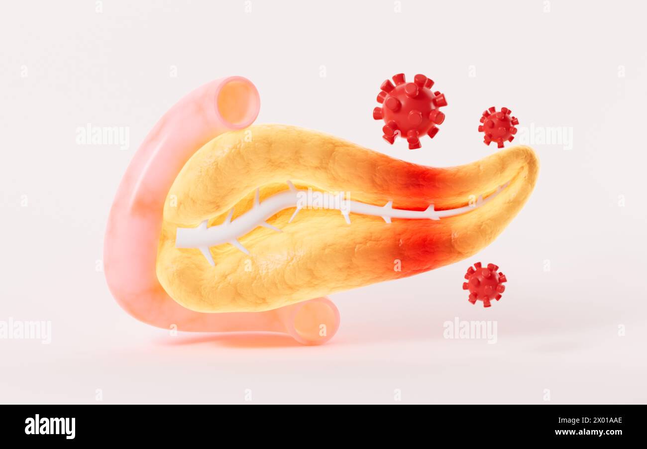 Human pancreas, gall bladder organ model, 3d rendering. 3d illustration ...
