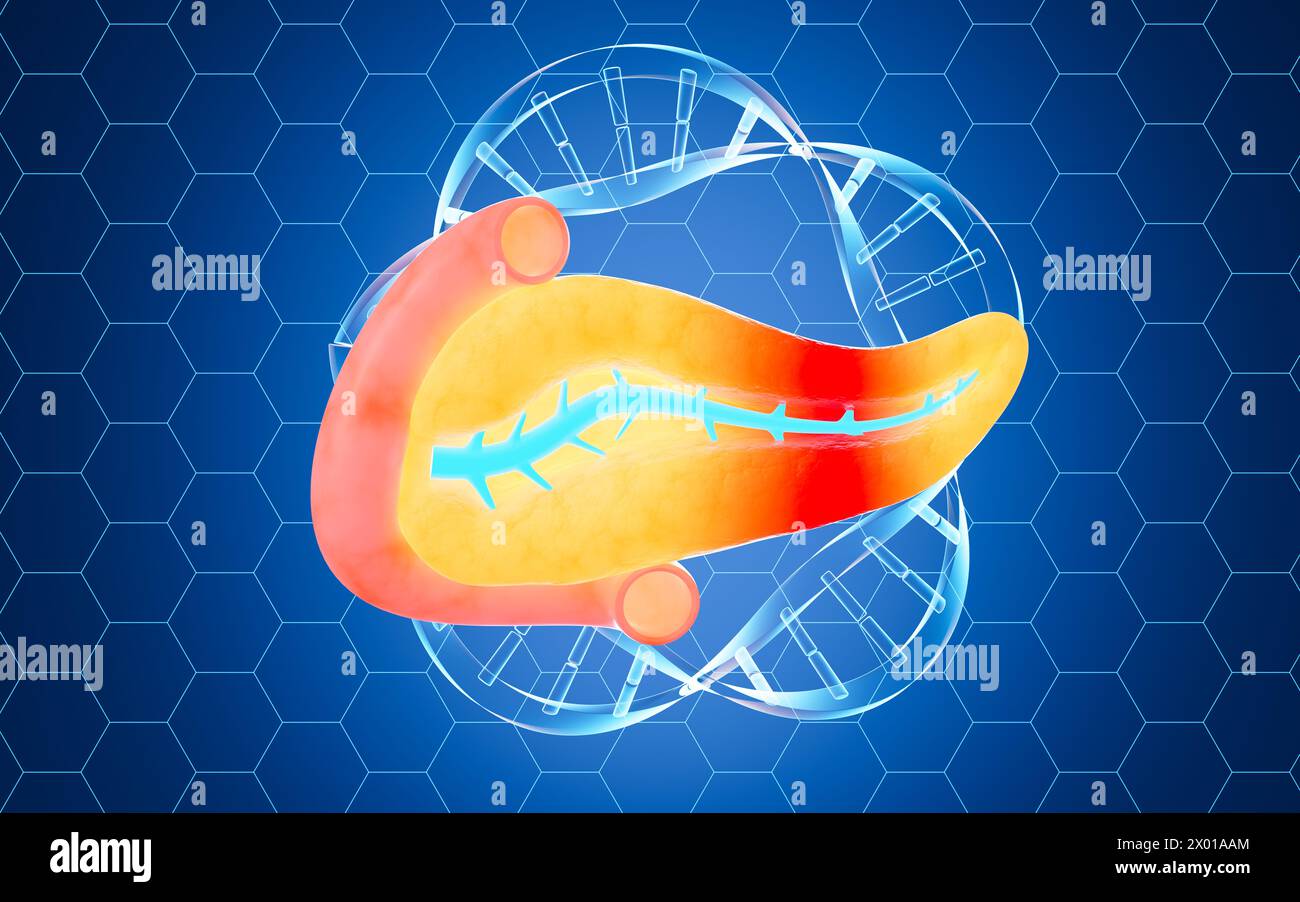 Human pancreas, gall bladder organ model, 3d rendering. 3d illustration ...