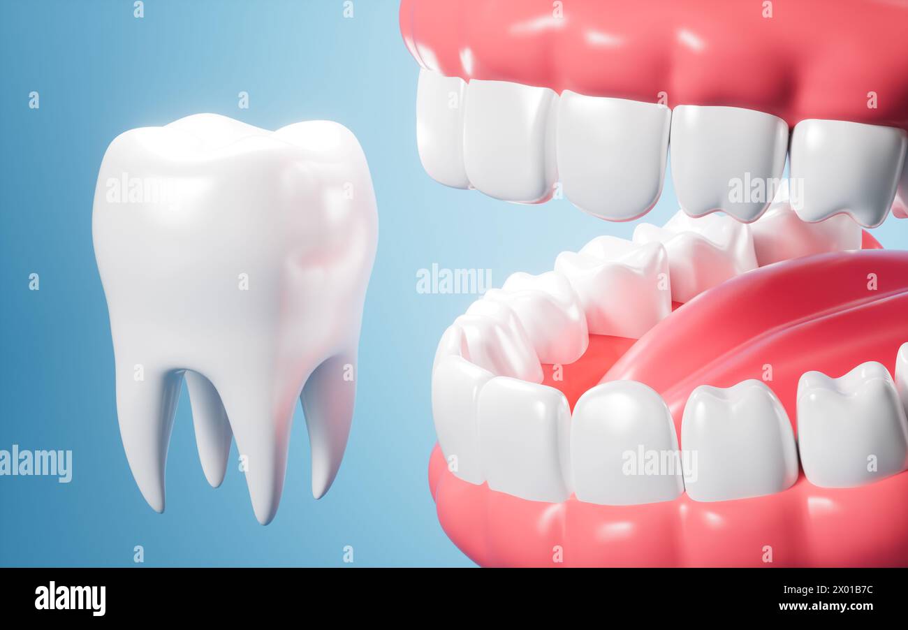 Human tooth model, white teeth, even teeth model, 3d rendering. 3d ...