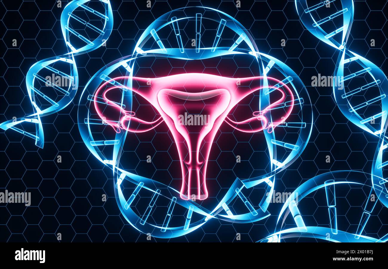 Female uterus with blue circular DNA background, biotechnology concept ...