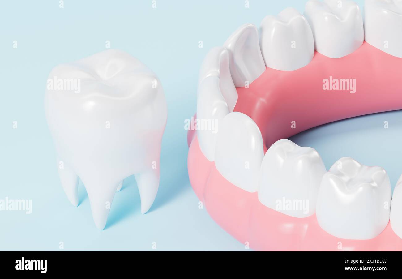 Human tooth model, white teeth, even teeth model, 3d rendering. 3d ...