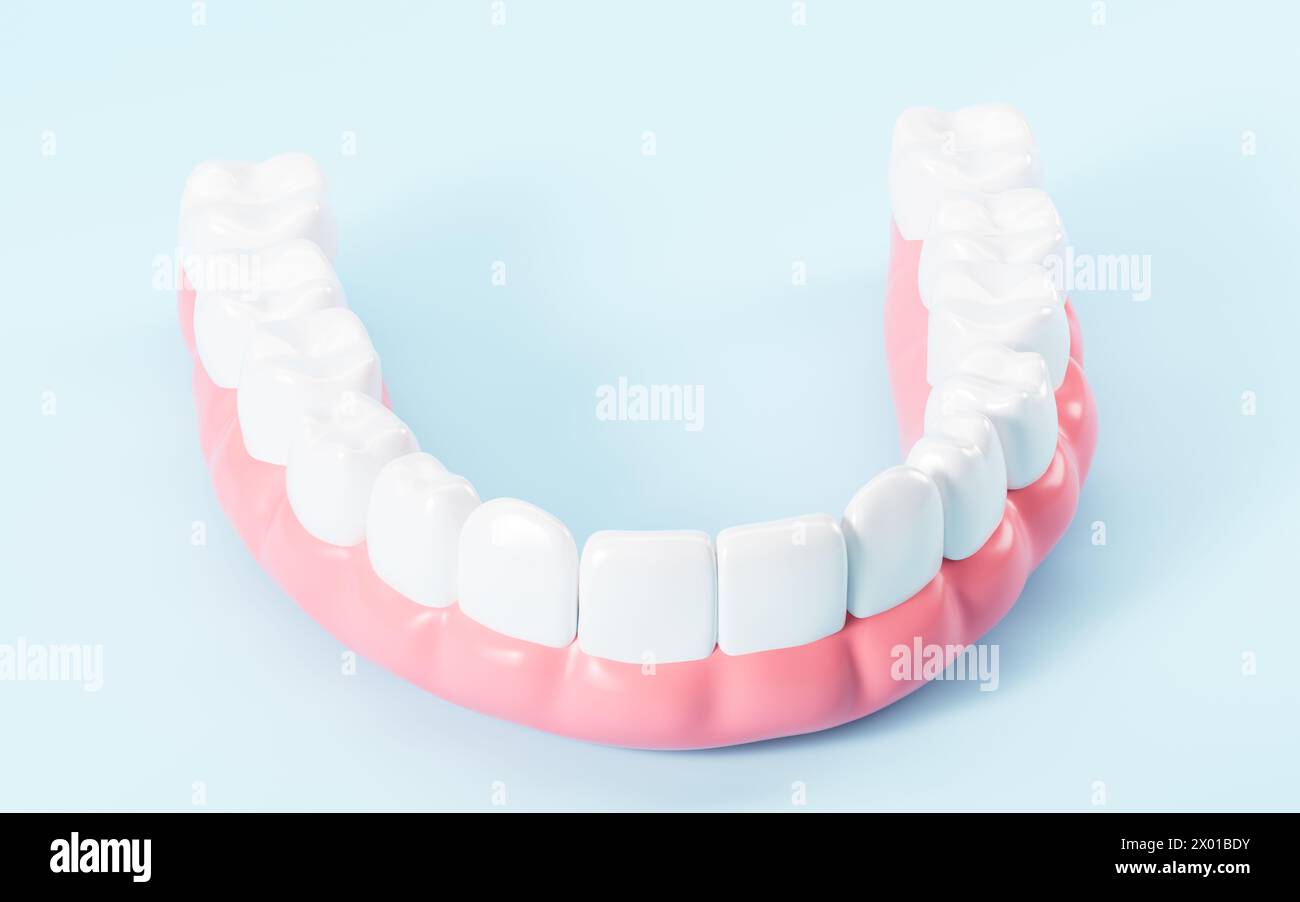 Human tooth model, white teeth, even teeth model, 3d rendering. 3d ...