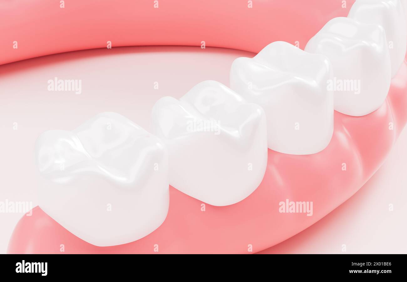 Human tooth model, white teeth, even teeth model, 3d rendering. 3d ...