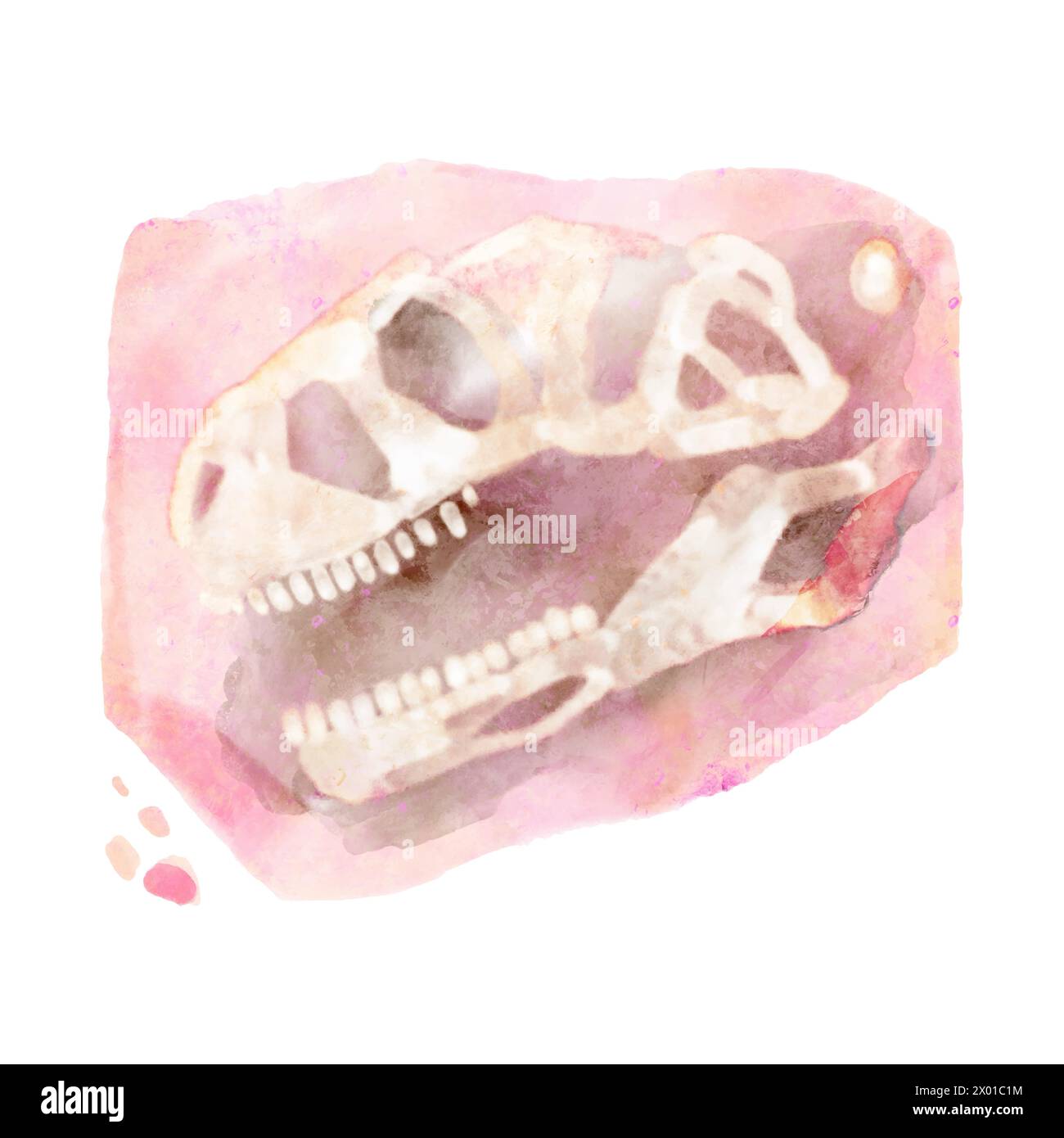 Fossil of Tyrannosaurus rex skull dinosaur in rock . Watercolor paint design . Vector Stock ...