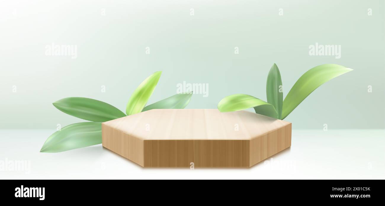 Hexagonal wooden platform with green leaves on light background. Vector ...
