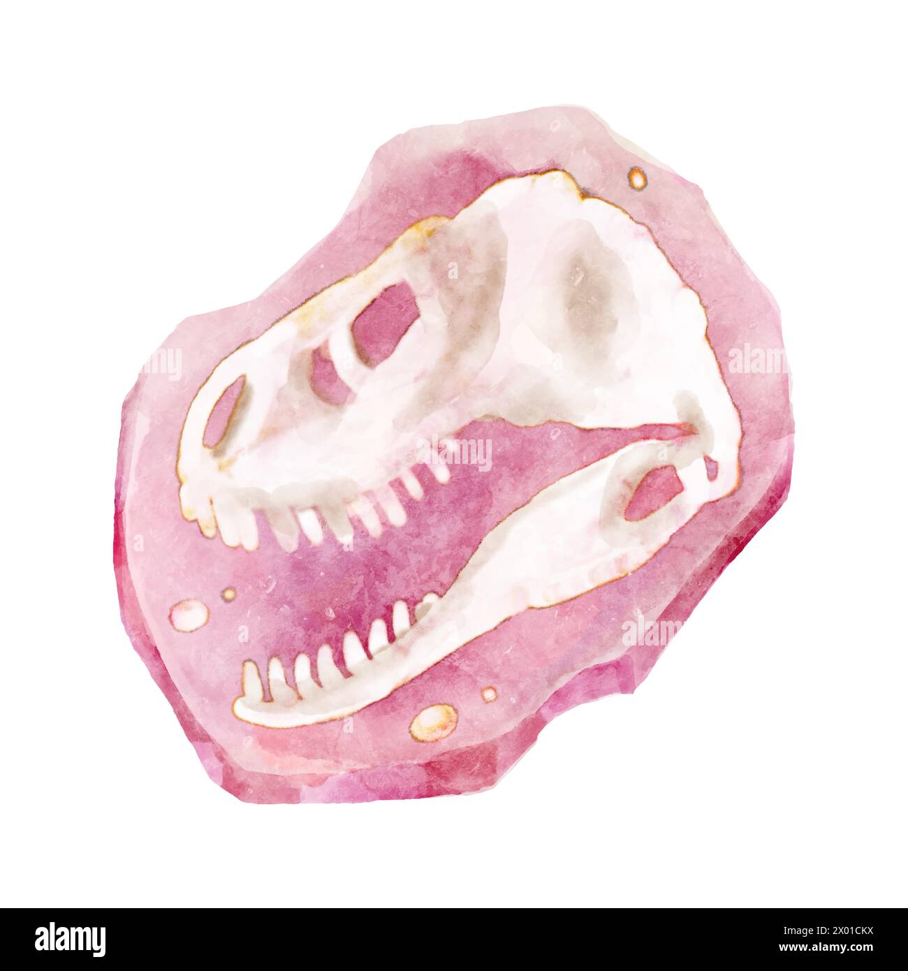 Fossil of Tyrannosaurus rex skull dinosaur in rock . Watercolor paint design . Vector Stock ...