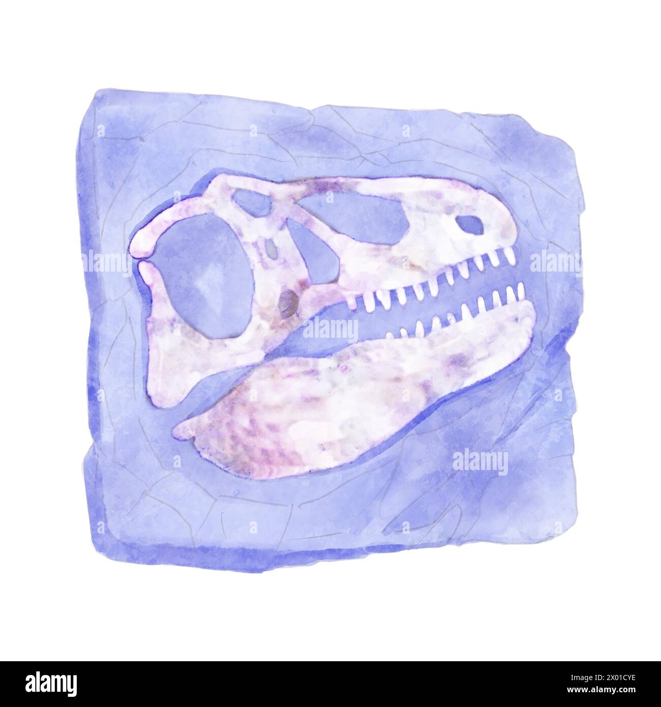Fossil of Tyrannosaurus rex skull dinosaur in rock . Watercolor paint design . Vector Stock ...