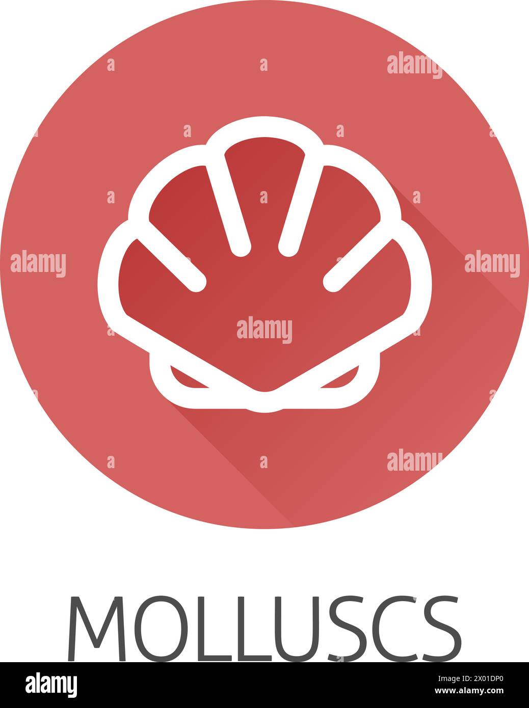 14 shell Stock Vector Images - Alamy