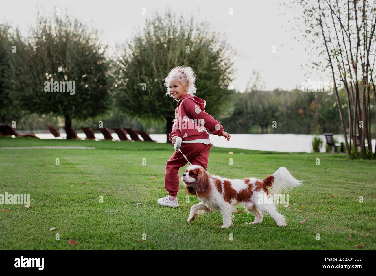 Blonde Girl Running and Playing with playful Spaniel Pet Outdoors ...