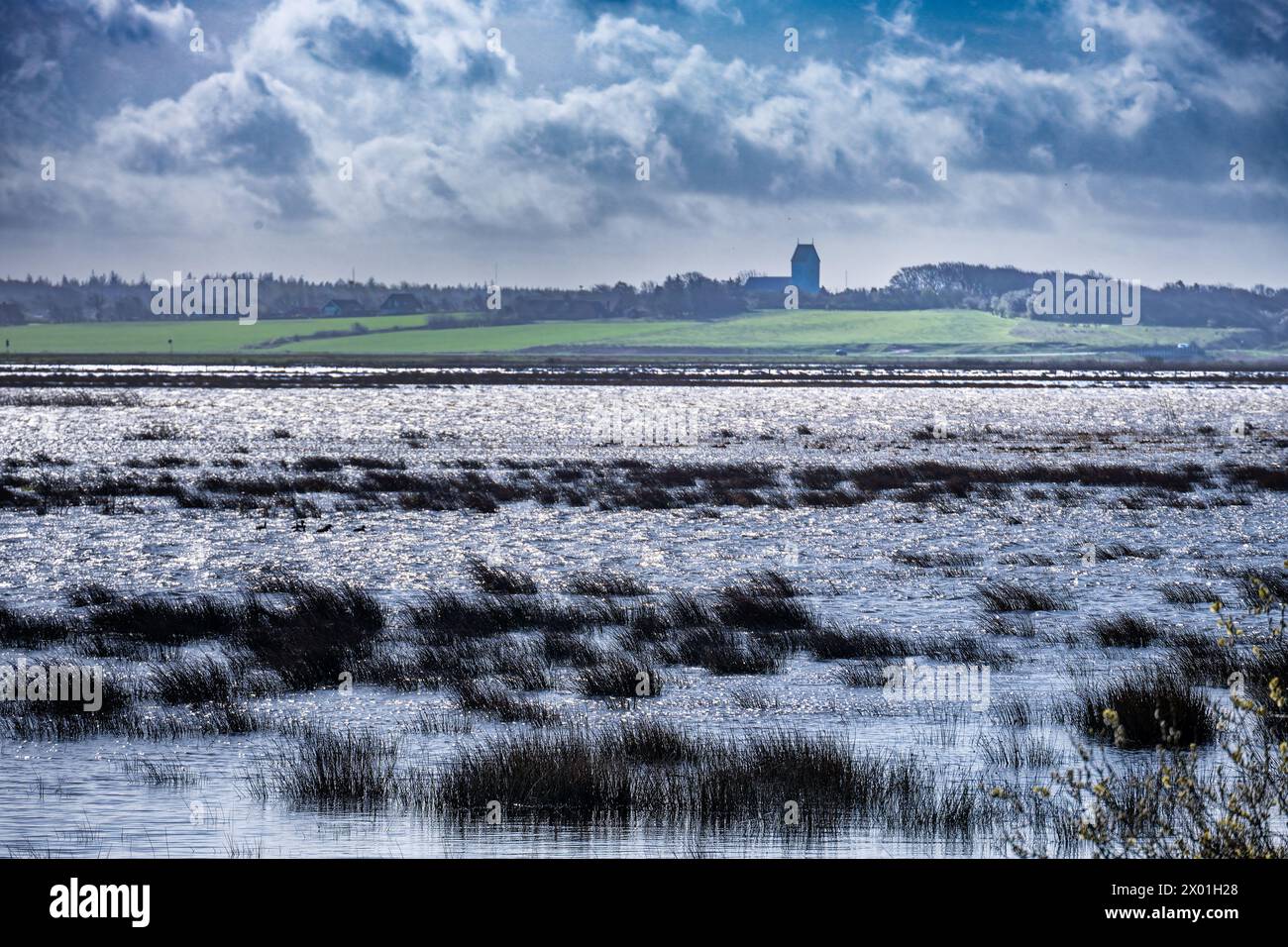 Meadows near Skjern wildlife protected area in west Denmark Stock Photo ...