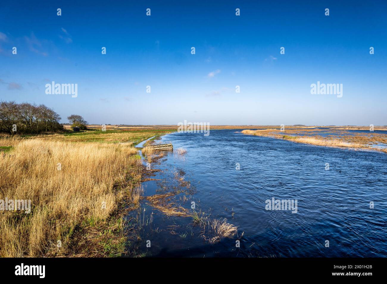 Meadows near Skjern wildlife protected area in west Denmark Stock Photo ...